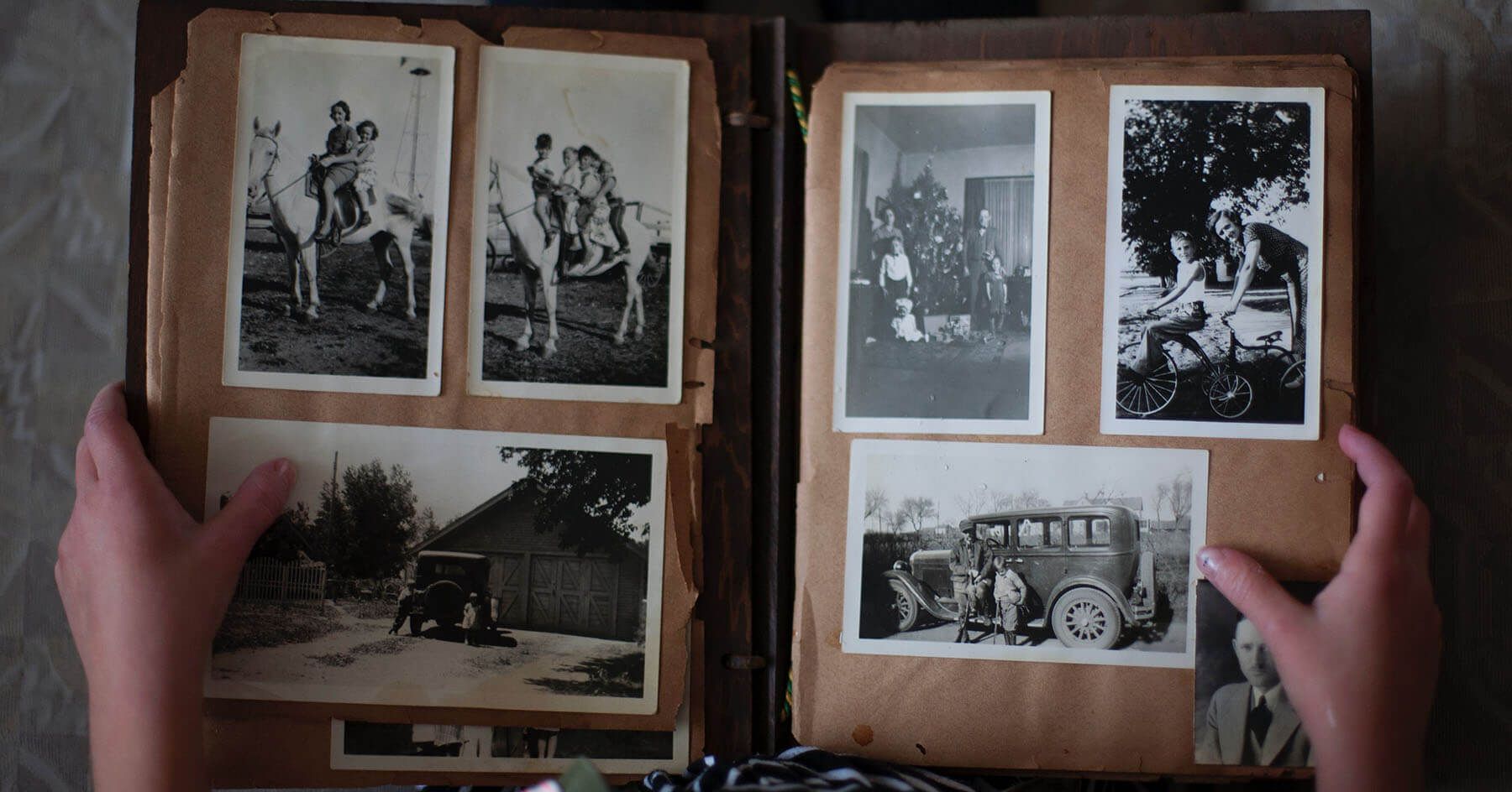 Family Stories: Why We Tell Them | TREE of LIFE LEGACIES
